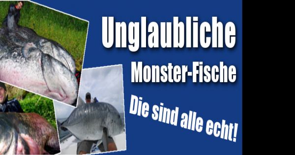 Unglaubliche Monster-Fänge: Riesen-Fisch an der Angel: Diese Bilder ...
