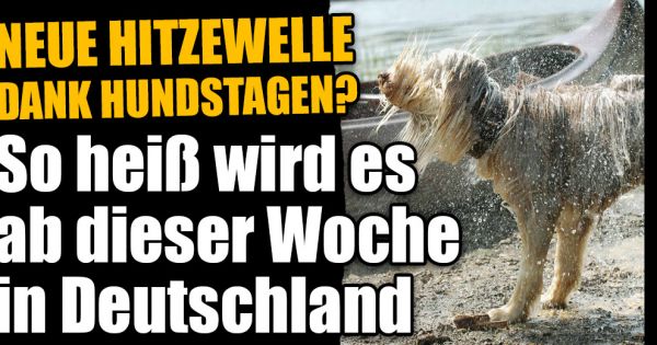 Hundstage im Juli 2018 aktuell: Hundstage bringen Hitzewelle! SO heiß wird es jetzt in ...