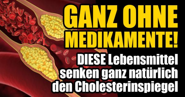 Cholesterin senken ohne Medikamente: Gewusst? DIESE Lebensmittel wirken ...