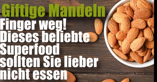 Giftige Mandeln: Tödliche Gefahr! Diese Mandeln sollten Sie NICHT essen ...