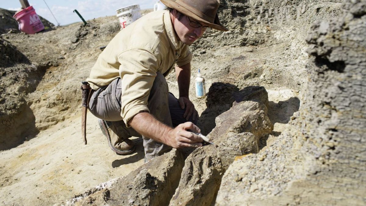"Terra X: Die letzten Stunden der Dinosaurier" bei ZDF nochmal sehen ...