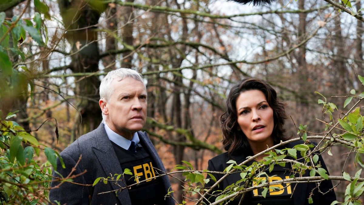 "FBI: Special Crime Unit" vom Dienstag bei Sat.1: Wiederholung von ...