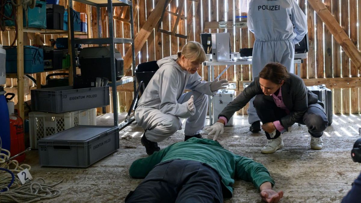 "SOKO Wismar" bei ZDF im Livestream und TV: Wie geht es in der ...