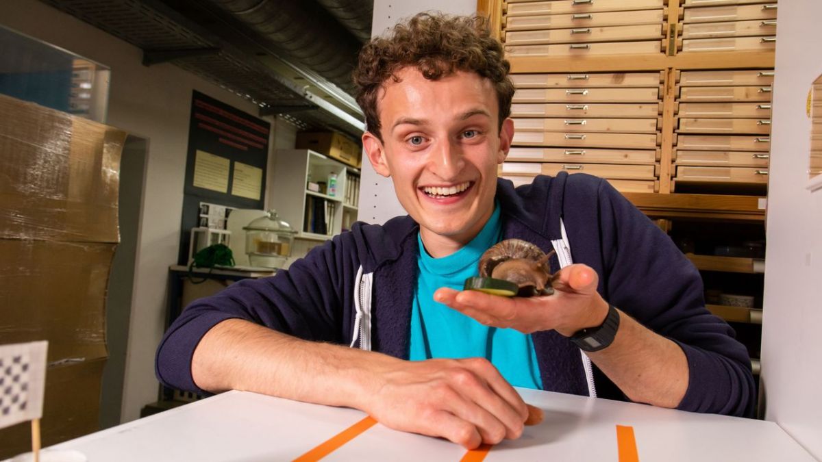 "Checker Julian" bei ARD nochmal sehen: Wiederholung des ...