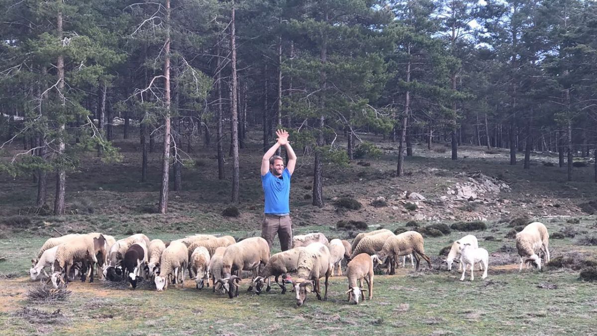 "Durch die Wildnis - Sierra Nevada" bei ARD nochmal sehen: Wiederholung ...