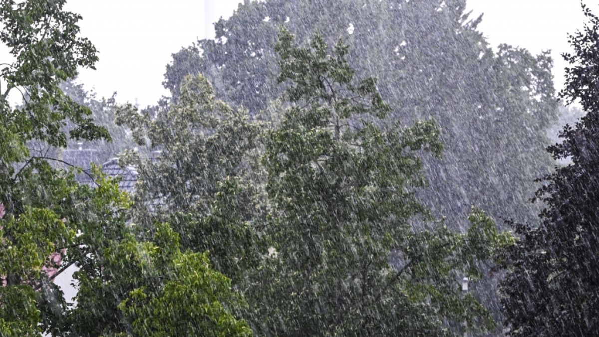 Wetterwarnung Zwickau: DWD kündigt heftigen Regen an - mehrere ...