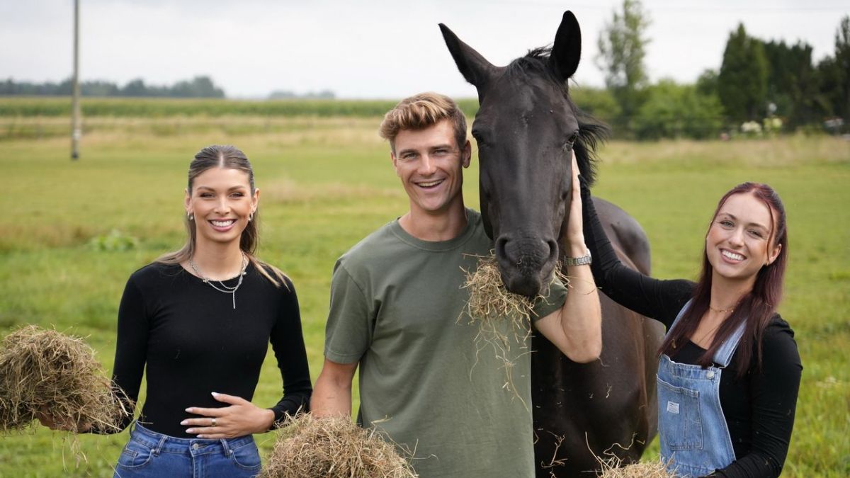 "Bauer sucht Frau" verpasst?: Wiederholung und Mediathek zur Sendung ...