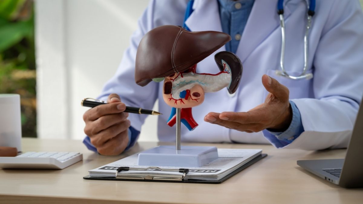 Nicht nur Alkohol: Was der Leber schadet - und wie Sie sie schützen ...