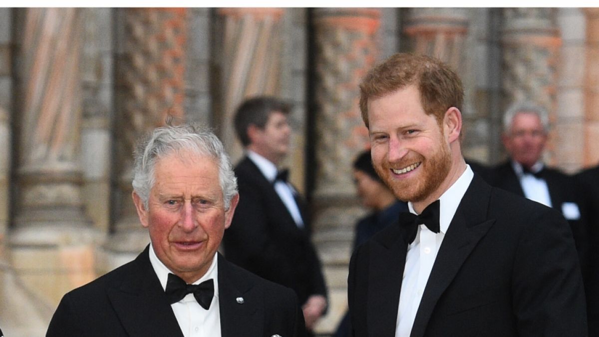 Prinz Harry: Dieser hinterhältige Schachzug bringt König Charles in ...