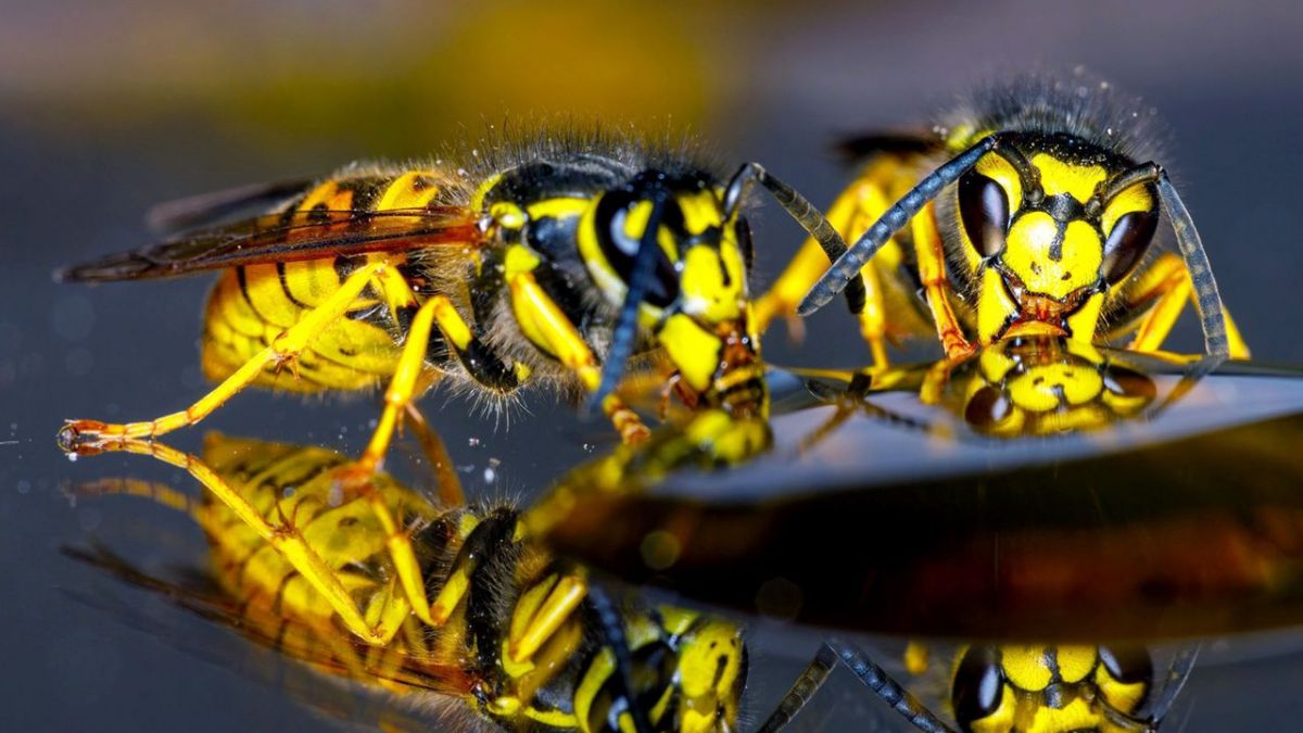 "42 - Die Antwort auf fast alles" verpasst?: Wann und wo man die ...