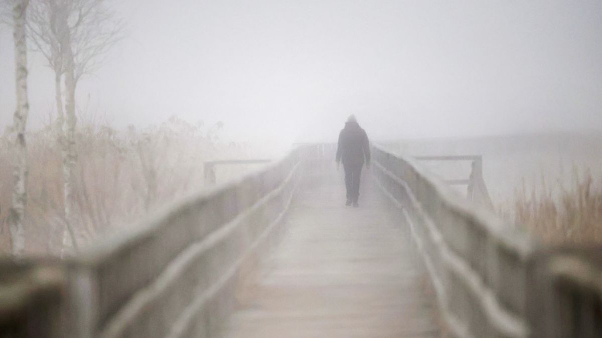 Wetterwarnung Lindau (Bodensee) heute: DWD warnt vor Nebel in der ...