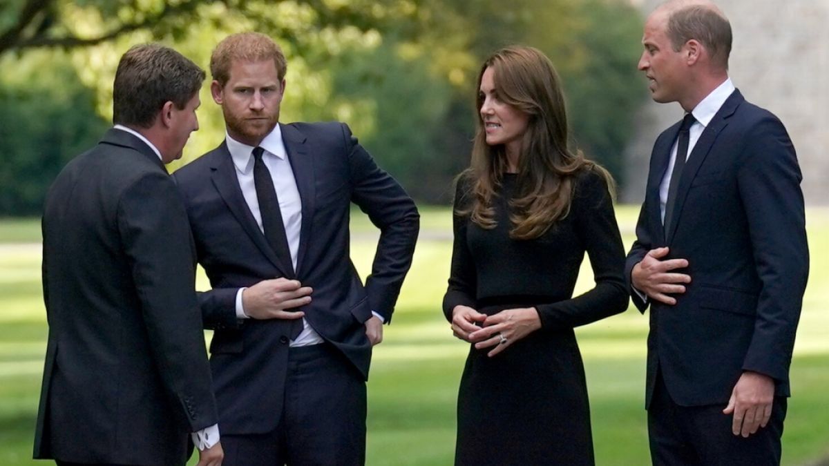 Prinz Harry verärgert Schwägerin: Diese Worte ließen bei Prinzessin ...