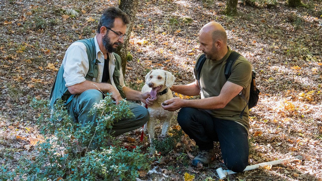 "Zu Tisch" bei Arte nochmal sehen: Wiederholung des Reise-und ...