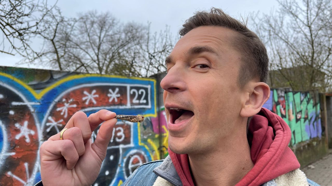 "PUR+" vom Sonntag bei KiKa: Wiederholung des Kindermagazins online und ...